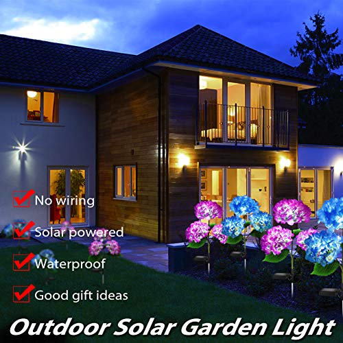 Solar Lights Outdoor Decorative - 2 Pack Hydrangea Solar Garden Stake Lights Waterproof and Realistic LED Flowers Powered Outdoor In-Ground Lights for Garden Lawn Patio Backyard (Purple and blue)