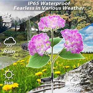 Solar Lights Outdoor Decorative - 2 Pack Hydrangea Solar Garden Stake Lights Waterproof and Realistic LED Flowers Powered Outdoor In-Ground Lights for Garden Lawn Patio Backyard (Purple and blue)