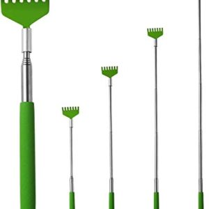 Mini Zen Sand rakes Tool Decoration Garden Sand rake feng Shui Decoration for Home Office 2 Pieces(Yellow + Green)