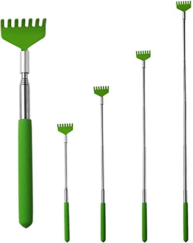 Mini Zen Sand rakes Tool Decoration Garden Sand rake feng Shui Decoration for Home Office 2 Pieces(Yellow + Green)