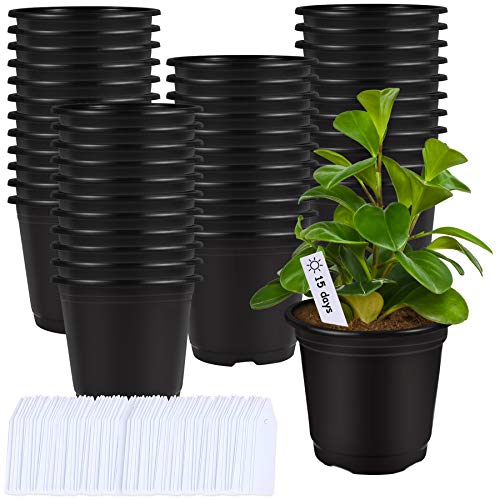 75 Pcs 0.5 Gallon Black Plastic Plant Nursery Garden Pots 6 Inches Seed Starting Pots Containers with 100 Labels