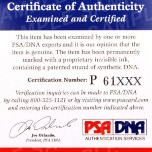 Royce Gracie Ken Shamrock Mark Coleman Chuck Liddell Signed UFC Toy Belt PSA/DNA - Autographed UFC Miscellaneous Products