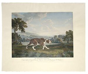 the spanish pointer, engraved after an original picture of mr. george stubbs, in the possession of mr. bradford