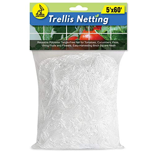 SKINNYBUNNY 5x60ft Trellis Netting, Durable Garden Grow Netting, Heavy-Duty Nylon String Net, Designed for Climbing Vining Plants, Fruits and Vegetables, Hydroponics, Fit in All-Weather, 1-Pack