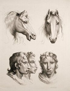 [illustration of physiognomic resemblance between a man and a horse]