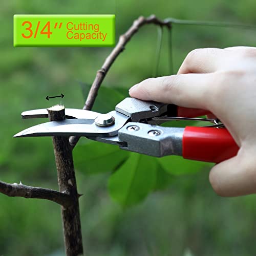 JOYFUL&HOPEFUL Pruning Shears Pack of 2, Garden Shears Pruners with Precision Blades for Gardening,Trimming Plant Tree Flower