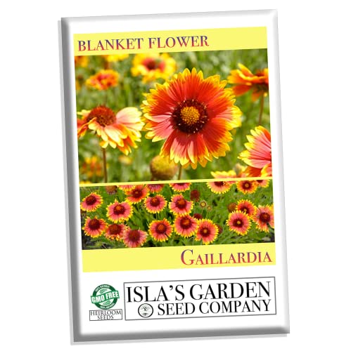 "Blanketflower" Common Gaillardia Indian Perennial Flower Seeds, 500+ Premium Heirloom Seed, (Gaillardia Aristata), 95% Germination, (Isla's Garden Seeds), Non GMO Seeds, Great Flower Garden Gift