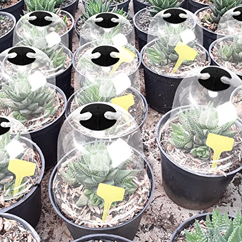 Remerry 20 Pack Garden Cloche Clear Bell Covers Freeze Protection Humidity Domes Plastic Dome 7.3 x 6.7 Inch with 60 Ground Securing Pegs and Plant Labels for Plants Seed Starting Greenhouse