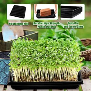 5 Pack Garden Plant Growing Trays Without Holes - 10" X 10" No Drain Holes Microgreens Growing Trays, Seedling Tray, Wheatgrass Sprouting Tray, Hydroponic Trays, Greenhouse Seed Starter Trays