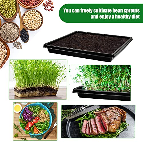 5 Pack Garden Plant Growing Trays Without Holes - 10" X 10" No Drain Holes Microgreens Growing Trays, Seedling Tray, Wheatgrass Sprouting Tray, Hydroponic Trays, Greenhouse Seed Starter Trays