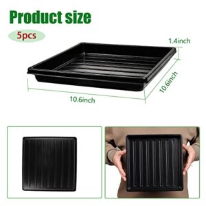 5 Pack Garden Plant Growing Trays Without Holes - 10" X 10" No Drain Holes Microgreens Growing Trays, Seedling Tray, Wheatgrass Sprouting Tray, Hydroponic Trays, Greenhouse Seed Starter Trays