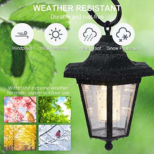 Dynaming 2 Pack Solar Hanging Lights Outdoor, Solar Powered Garden Decorative Lanterns with 2 x 50 Inch Shepherd Hooks, Waterproof Landscape Lighting for Lawn Patio Yard Pathway Driveway, Warm White