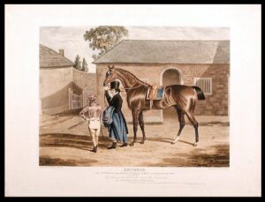 antonio, the winner of the great st. leger stakes at doncaster, 1819, (fifty subscribers.) by octavian, dam by evander, out of miss gunpowder. the property of thos. ferguson, esq. to whom this print is most respectfully dedicated by the publishers