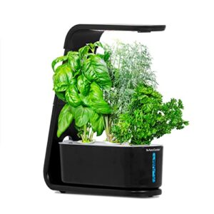 aerogarden sprout with gourmet herbs seed pod kit – hydroponic indoor garden, black