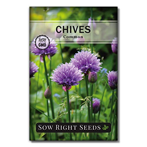 Sow Right Seeds - Chives Seed for Planting - Non-GMO Heirloom; Instructions to Plant and Grow Kitchen Herb Garden, Indoor or Outdoor; Great Garden Gift (1)