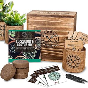 cactus succulent seed starter kit – indoor garden grow kits, seeds for planting mini cactus succulent plants, plant markers, soil, pots, wood box – gardening gifts, terrarium, cacti succulents decor