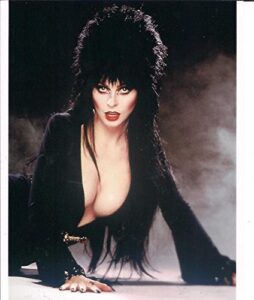 elvira cassandra peterson leaning on the floor 8×10 inch photo