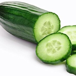 Grown in USA! 30+ Muncher Burpless Sweet Cucumber Seeds, Heirloom Non-GMO, Non-Bitter and Acid Free, Crispy and Sweet, Fragrant and Delicious, Cucumis sativus