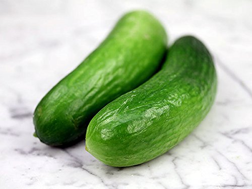 Grown in USA! 30+ Muncher Burpless Sweet Cucumber Seeds, Heirloom Non-GMO, Non-Bitter and Acid Free, Crispy and Sweet, Fragrant and Delicious, Cucumis sativus