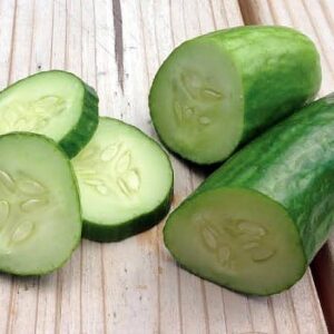 Grown in USA! 30+ Muncher Burpless Sweet Cucumber Seeds, Heirloom Non-GMO, Non-Bitter and Acid Free, Crispy and Sweet, Fragrant and Delicious, Cucumis sativus