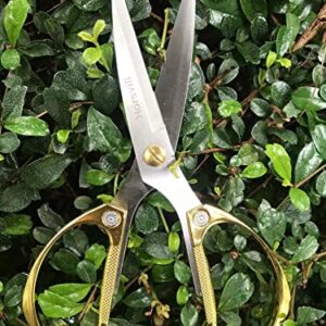 Horsvill Indoor Plant Shears and Garden Scissors, Houseplant Shears Made of Japan SK5 Stainless Steel, Flowers Herbs and Plant Cutters, Clippers, Trimmers, Loppers, Bonsai Plant Pruning Scissors