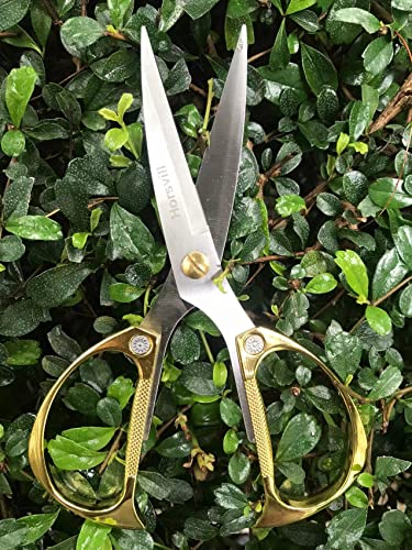 Horsvill Indoor Plant Shears and Garden Scissors, Houseplant Shears Made of Japan SK5 Stainless Steel, Flowers Herbs and Plant Cutters, Clippers, Trimmers, Loppers, Bonsai Plant Pruning Scissors