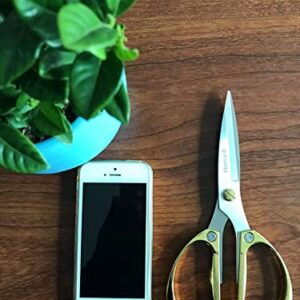 Horsvill Indoor Plant Shears and Garden Scissors, Houseplant Shears Made of Japan SK5 Stainless Steel, Flowers Herbs and Plant Cutters, Clippers, Trimmers, Loppers, Bonsai Plant Pruning Scissors