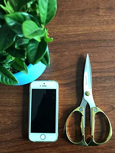 Horsvill Indoor Plant Shears and Garden Scissors, Houseplant Shears Made of Japan SK5 Stainless Steel, Flowers Herbs and Plant Cutters, Clippers, Trimmers, Loppers, Bonsai Plant Pruning Scissors