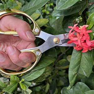 Horsvill Indoor Plant Shears and Garden Scissors, Houseplant Shears Made of Japan SK5 Stainless Steel, Flowers Herbs and Plant Cutters, Clippers, Trimmers, Loppers, Bonsai Plant Pruning Scissors