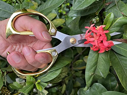 Horsvill Indoor Plant Shears and Garden Scissors, Houseplant Shears Made of Japan SK5 Stainless Steel, Flowers Herbs and Plant Cutters, Clippers, Trimmers, Loppers, Bonsai Plant Pruning Scissors