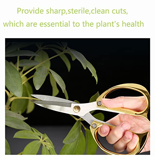 Horsvill Indoor Plant Shears and Garden Scissors, Houseplant Shears Made of Japan SK5 Stainless Steel, Flowers Herbs and Plant Cutters, Clippers, Trimmers, Loppers, Bonsai Plant Pruning Scissors