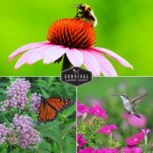 Survival Garden Seeds Pollinator Flower Collection - 3 Flower Seed Packs for Attracting Butterflies, Bees and Hummingbirds - Nectar & Pollen Rich Perennial & Annual Wildflowers - Non-GMO Heirloom