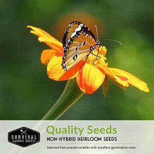 Survival Garden Seeds Pollinator Flower Collection - 3 Flower Seed Packs for Attracting Butterflies, Bees and Hummingbirds - Nectar & Pollen Rich Perennial & Annual Wildflowers - Non-GMO Heirloom