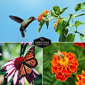 Survival Garden Seeds Pollinator Flower Collection - 3 Flower Seed Packs for Attracting Butterflies, Bees and Hummingbirds - Nectar & Pollen Rich Perennial & Annual Wildflowers - Non-GMO Heirloom