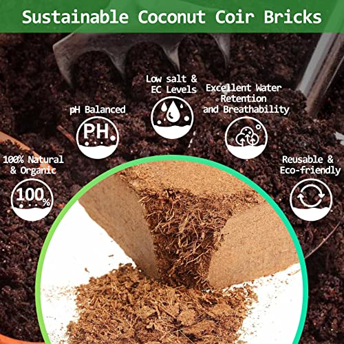 Riare 12pcs Organic Coco Coir Bricks Soil Blocks- 100% Natural Compressed Coco Peat Brick Coconut Fiber Substrate with Low EC& pH Balance, High Expansion Coco Coir Pith Coconut Husk for Garden