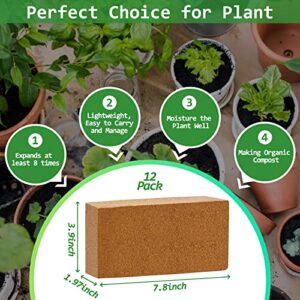 Riare 12pcs Organic Coco Coir Bricks Soil Blocks- 100% Natural Compressed Coco Peat Brick Coconut Fiber Substrate with Low EC& pH Balance, High Expansion Coco Coir Pith Coconut Husk for Garden