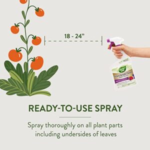 Garden Safe 32 oz. Insecticidal Soap Ready-to-Use