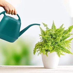 Fasmov Plastic Watering Can, 1-Gallon, Green