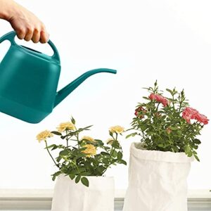 Fasmov Plastic Watering Can, 1-Gallon, Green