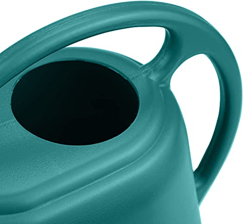 Fasmov Plastic Watering Can, 1-Gallon, Green