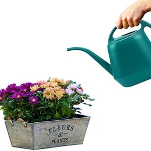 Fasmov Plastic Watering Can, 1-Gallon, Green