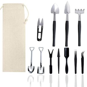 Wobodan 12 Pcs Succulent Tools Set Mini Transplanting Garden Tools Kit for Indoor Gardening Flower Pot Cactus Care