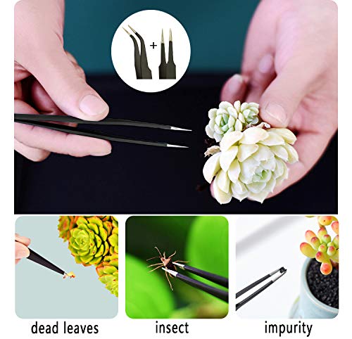 Wobodan 12 Pcs Succulent Tools Set Mini Transplanting Garden Tools Kit for Indoor Gardening Flower Pot Cactus Care