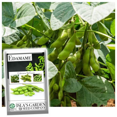 " BeSweet " Edamame Seeds for Planting, 25+ Heirloom Seeds Per Packet, (Isla's Garden Seeds), Non GMO Seeds, Botanical Name: Soybean (Glycine max (L.), Great Home Garden Gift