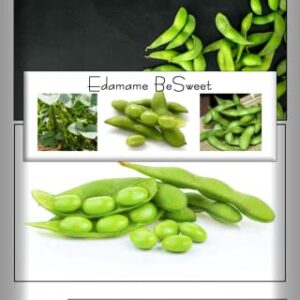 " BeSweet " Edamame Seeds for Planting, 25+ Heirloom Seeds Per Packet, (Isla's Garden Seeds), Non GMO Seeds, Botanical Name: Soybean (Glycine max (L.), Great Home Garden Gift