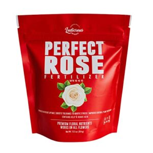 perfect rose fertilizer – 13.5oz premium rose and flower fertilizer – floral nutrients for all types of flowers – plant fertilizer with kelp for soil and hydroponic flower gardens