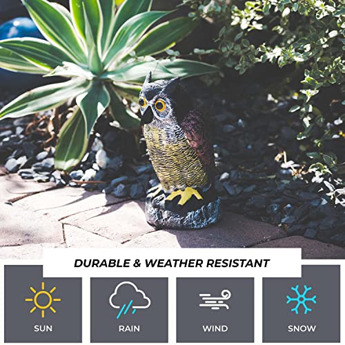 Galashield Owl Decoys to Scare Birds Away | Plastic Owls to Scare Birds Away | Owl Statue for Garden & Outdoors