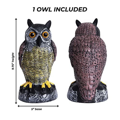 Galashield Owl Decoys to Scare Birds Away | Plastic Owls to Scare Birds Away | Owl Statue for Garden & Outdoors