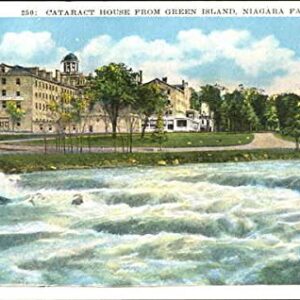 Cataract House From Green Island Niagara Falls, New York NY Original Antique Postcard