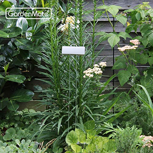 GardenMate 25-Pack Weatherproof XL Metal Plant Labels, Height 21", Label Area 3 1/2'' x 1 1/4''